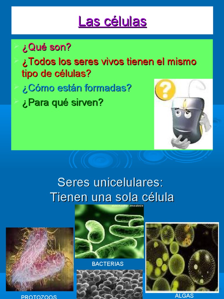 Celula Actividad para Completar | PDF