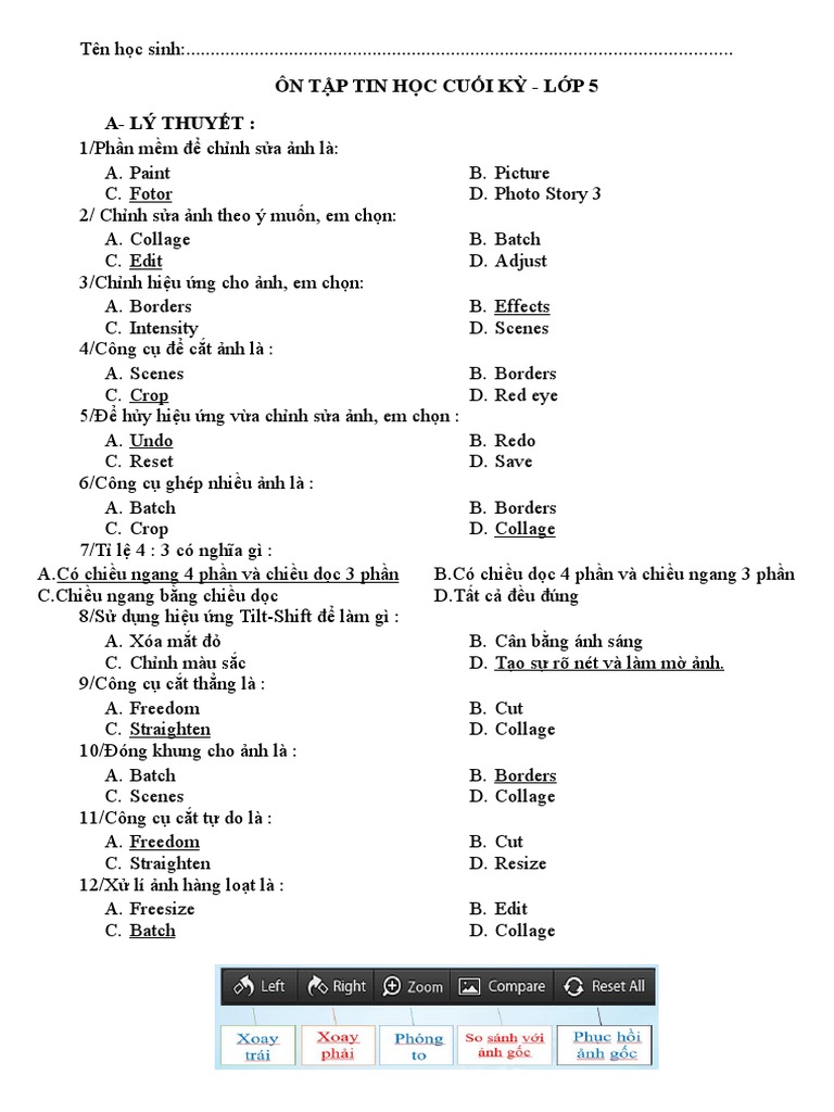 On Tap CN - Lop 5 - Dap An | PDF