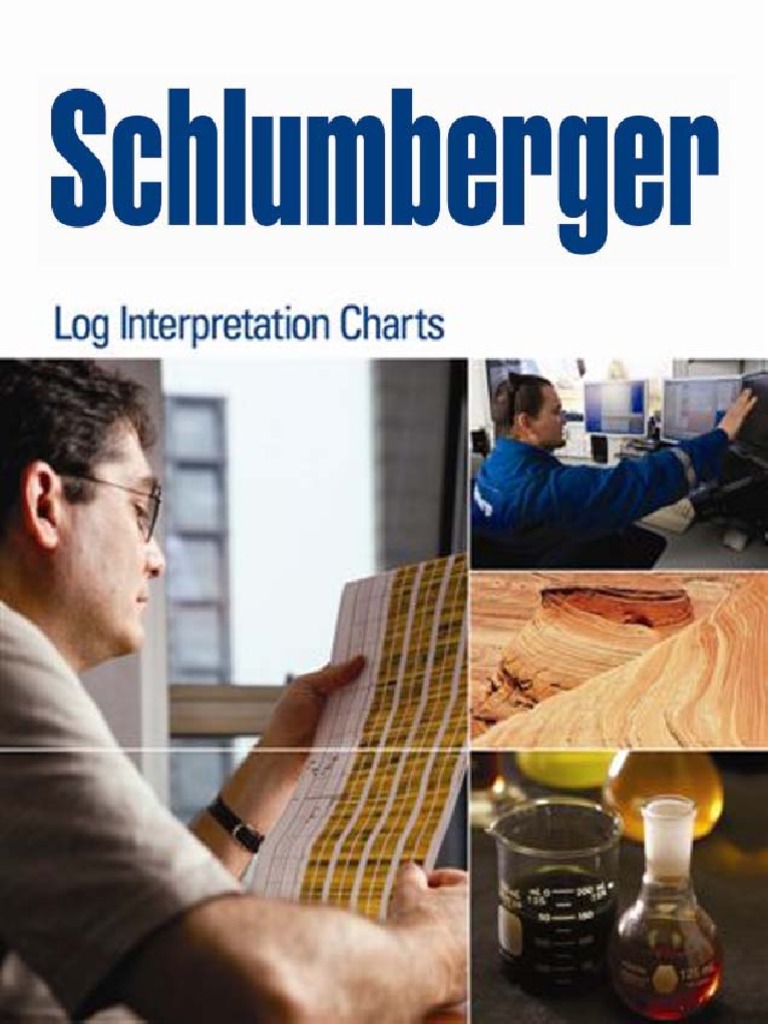 Schlumberger Log Interpretation - 1 | PDF | Relaxation (Nmr) | Nature