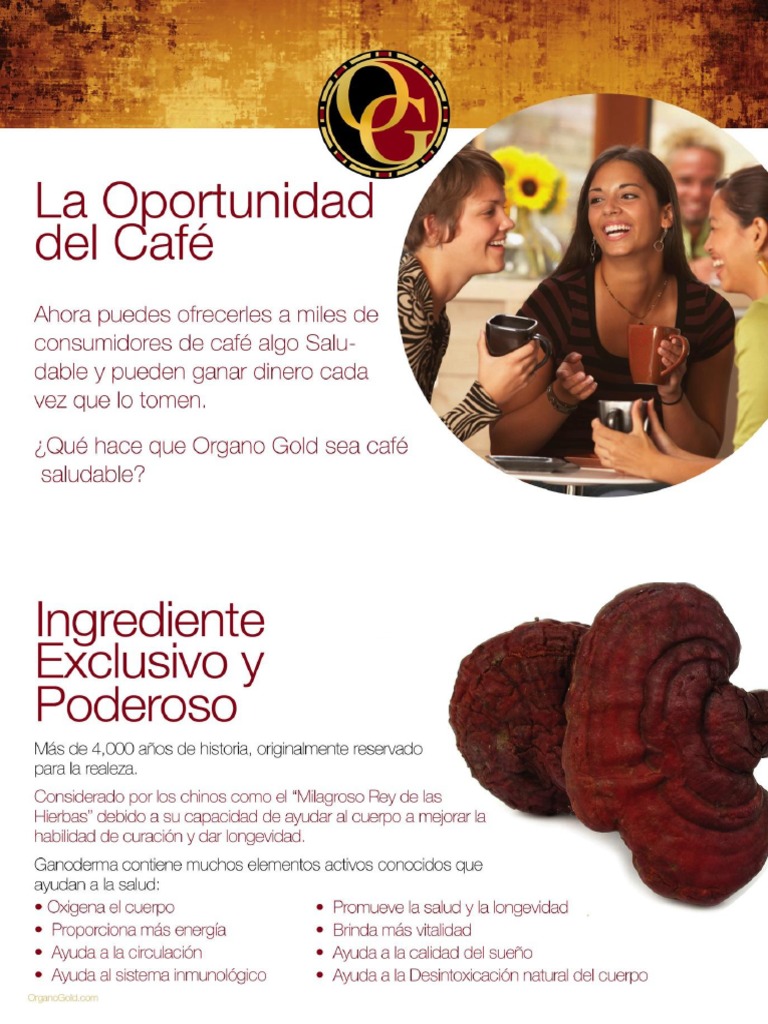 Que Es El Ganoderma - 4p. | PDF