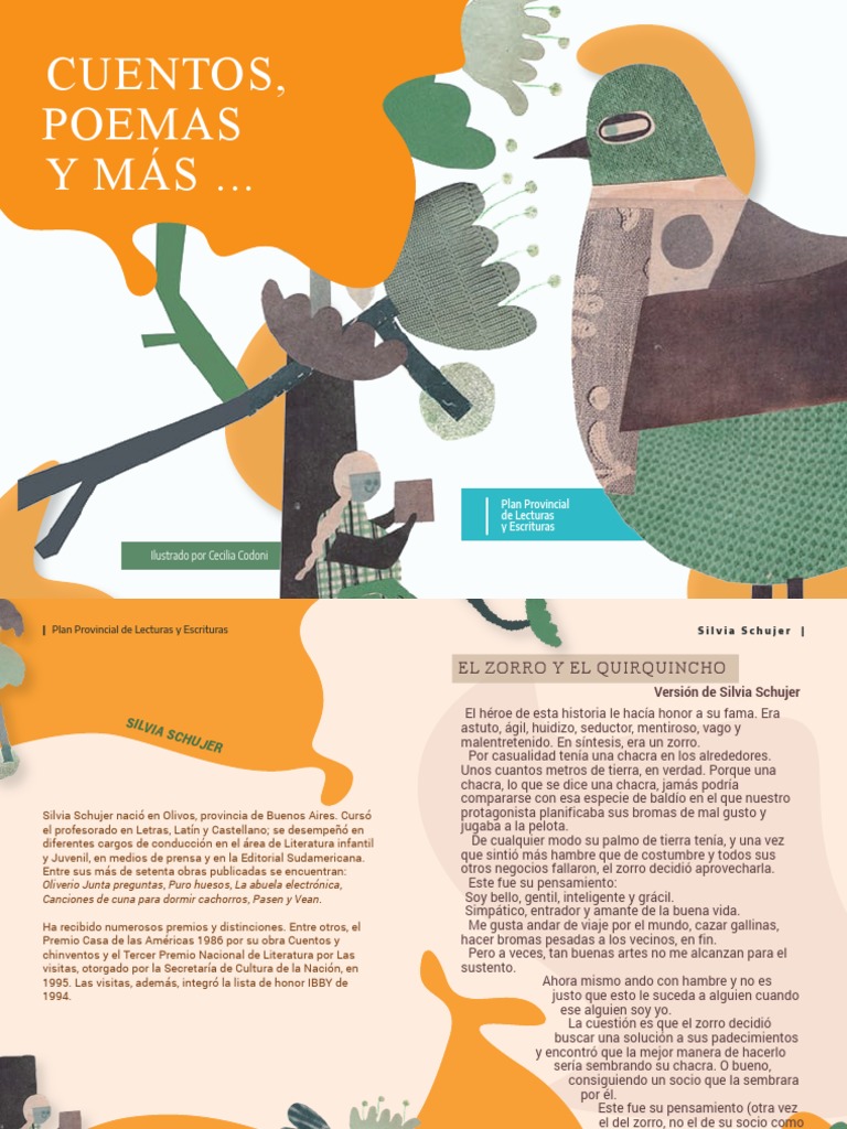 El Zorro y El Quirquincho de Silvia Schujer - 0 | PDF