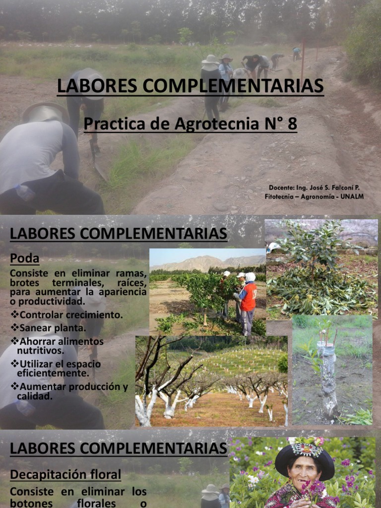 Labores Complementarias Parte II - Agrotecnia Practicas | PDF