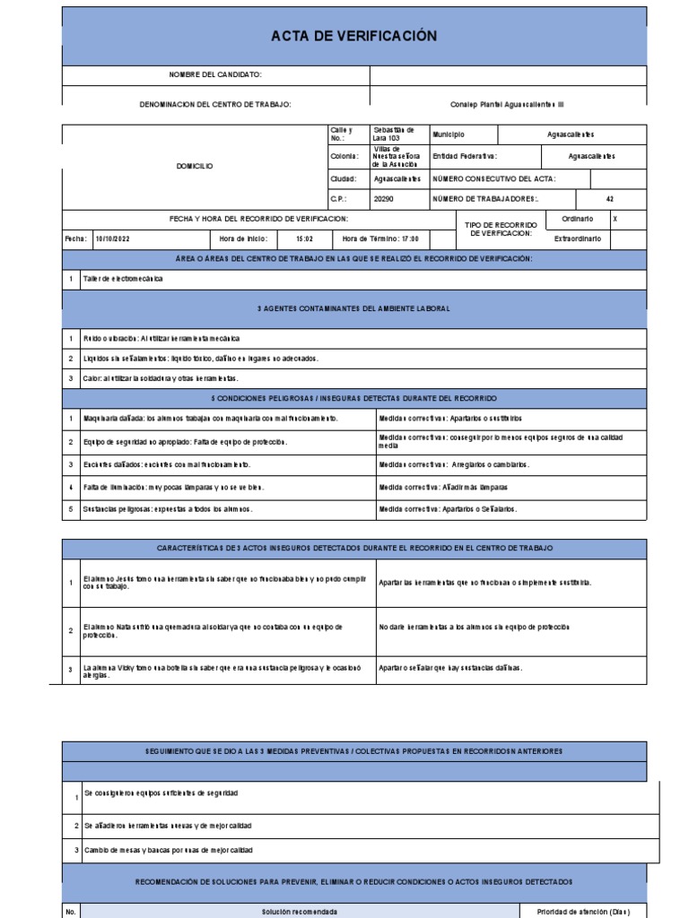Ejemplo De Acta De Recorrido De Verificacion Vehicular