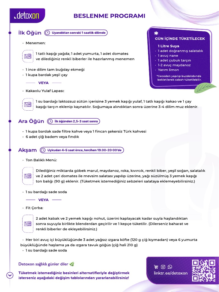 Detoxon Beslenme Programı | PDF
