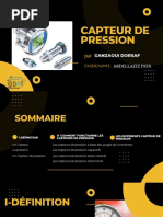 Capteur Piezo-Éléctrique | PDF