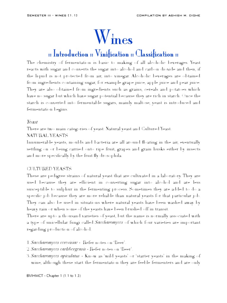 Understanding Wine Production Processes | PDF | Fermentation In ...
