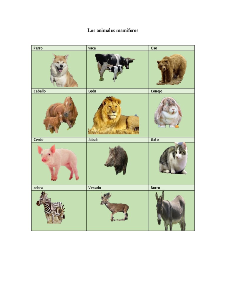 animales mamiferos computo tarea | PDF
