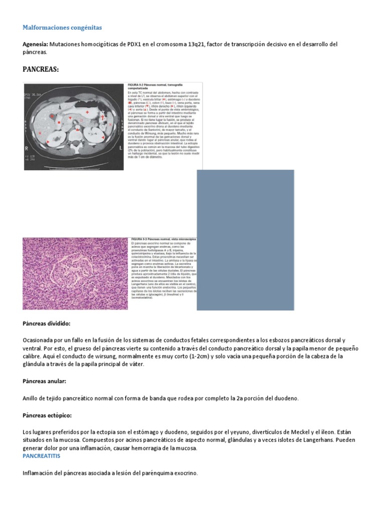 Guia Pato 2do Parcial 2 P | PDF