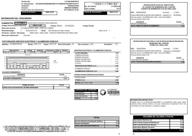 Du Plica Do 111788 | PDF | Electromagnetismo | Naturaleza