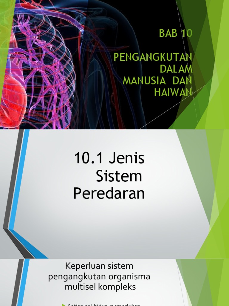 Bio Bab 10 T4 | PDF