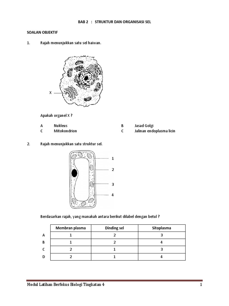 SOALAN MODUL T4 Bio | PDF