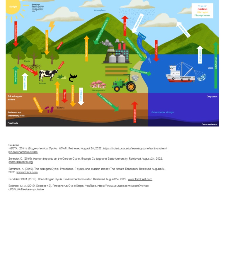 Biogeochemical Cycles Poster | Download Free PDF | Environmental ...