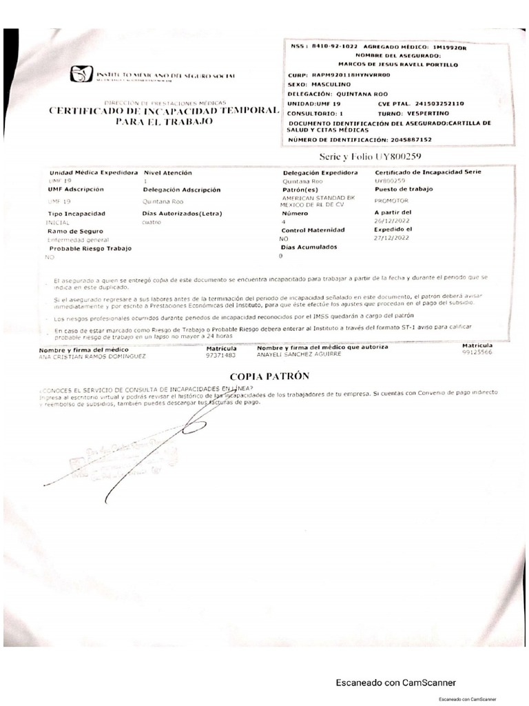 Incapacidad Imss | PDF