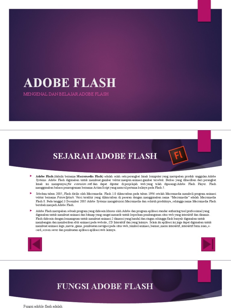 Adobe Flash | PDF