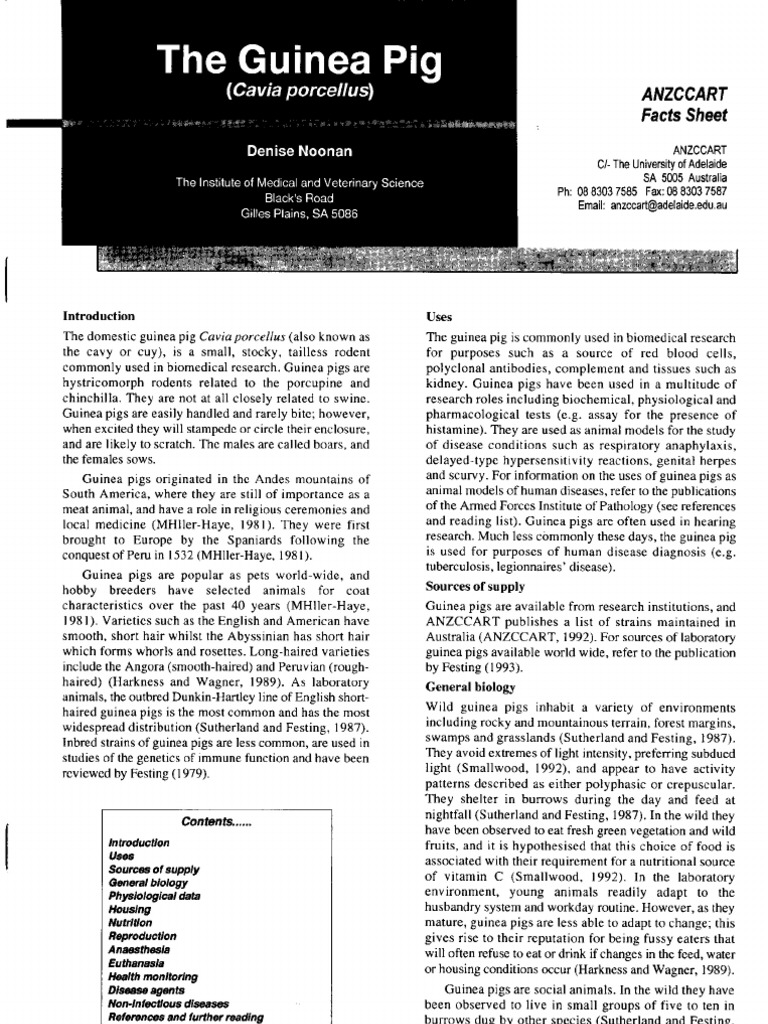 Guinea Pig 17 | PDF | Anesthesia | Guinea Pig