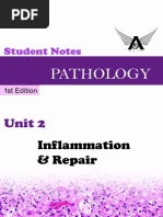 Robbins Pathology Notes | PDF | Immune System | Antibody