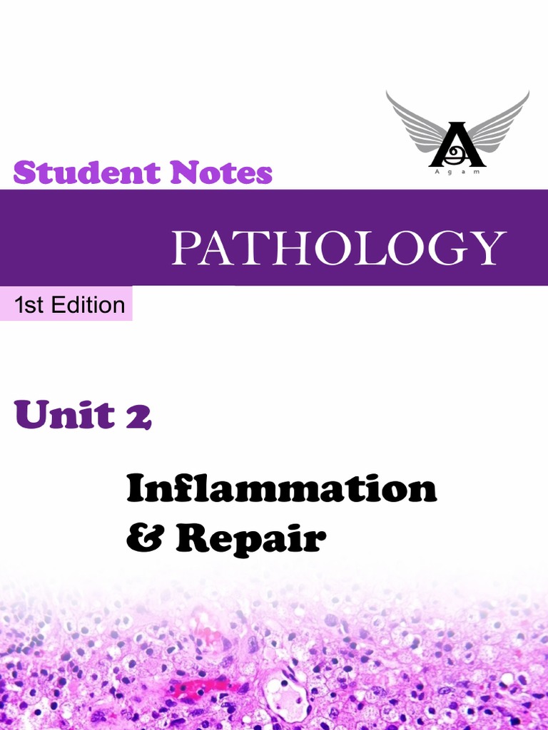 2 Inflammation and Repair | PDF | Wound Healing | Inflammation