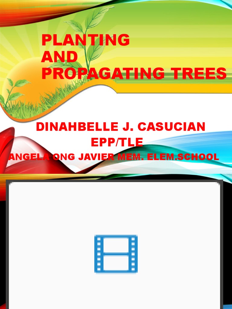 Tle Agri Cot 2nd Quarter | PDF | Trees | Orchard