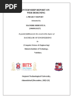 Internship Report | PDF | Image Editing | Graphic Design