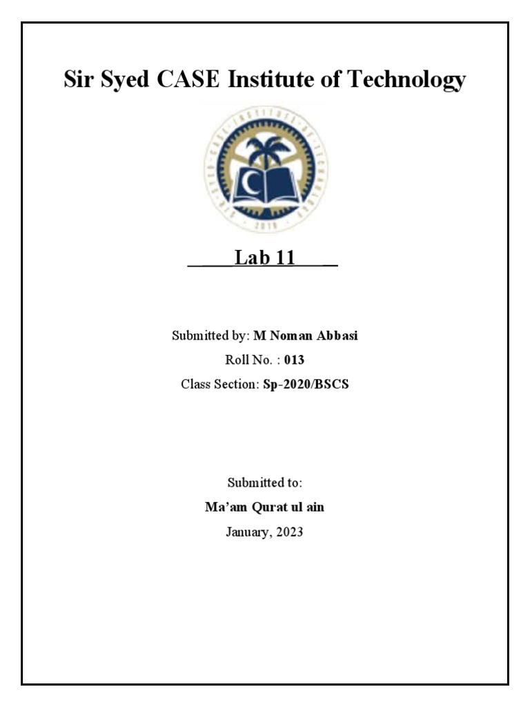 Ccn Lab 11 Pdf Network Packet Ip Address