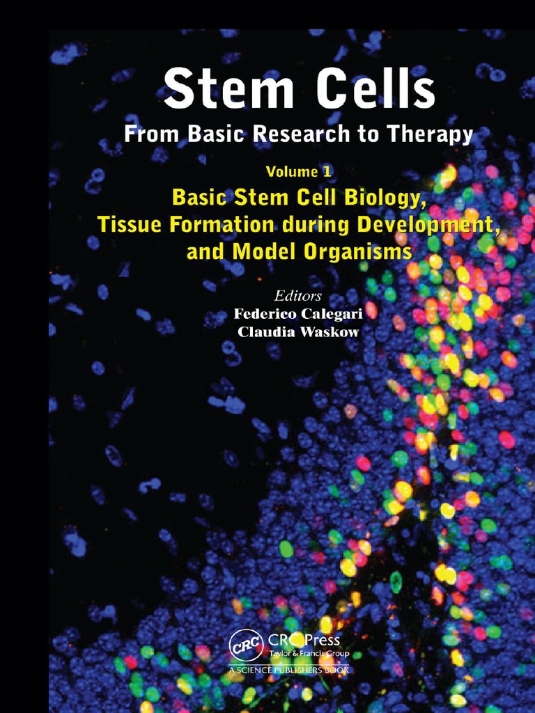 Buku Stem Cells From Basic Research To Therapy | PDF | Stem Cell ...