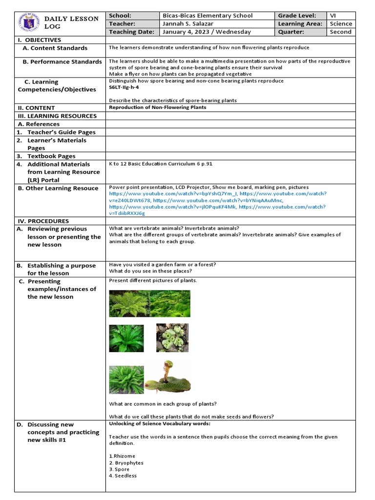 Lesson Plan in Science 6 Q2 WK7 | PDF | Spore | Fern