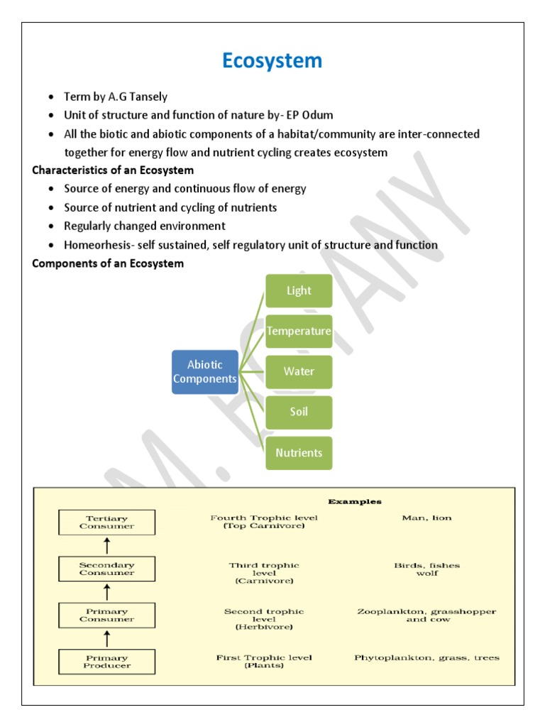 Ecosystem 1672299984234 Pdf Ecosystem Food Web