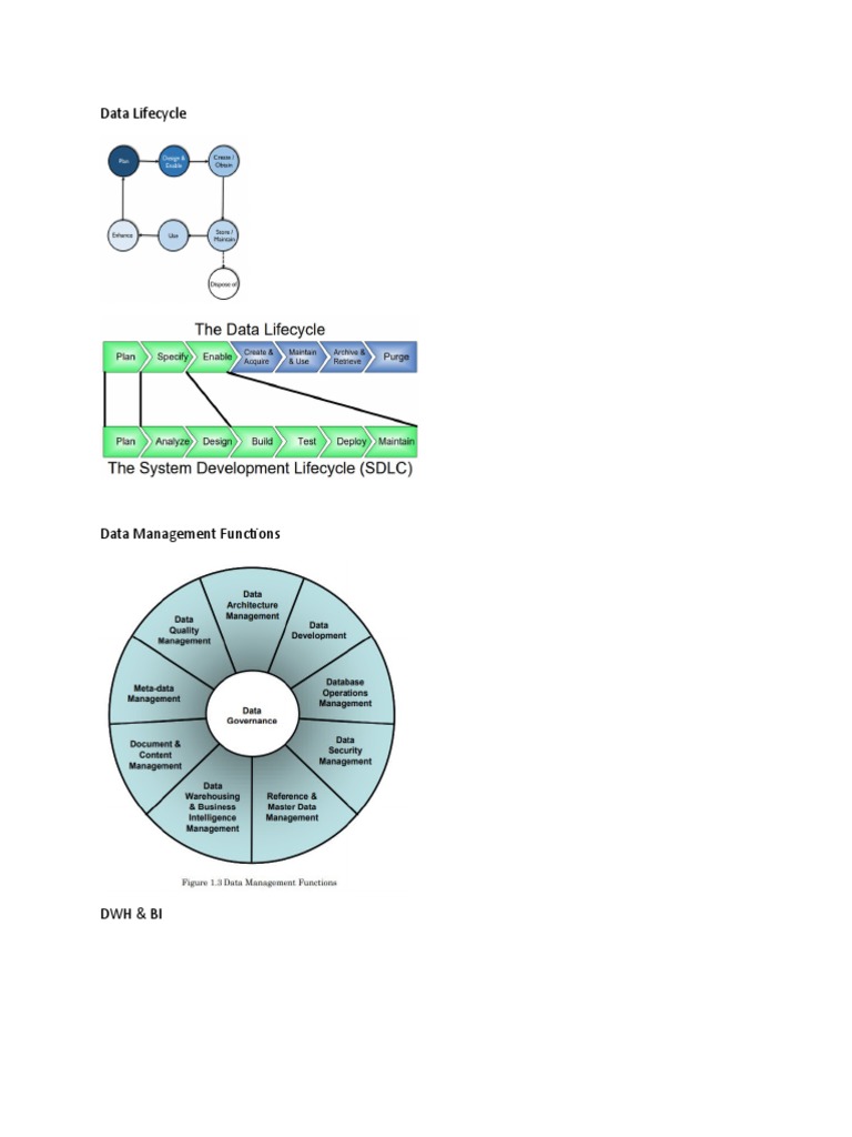 Data Lifecycle | PDF