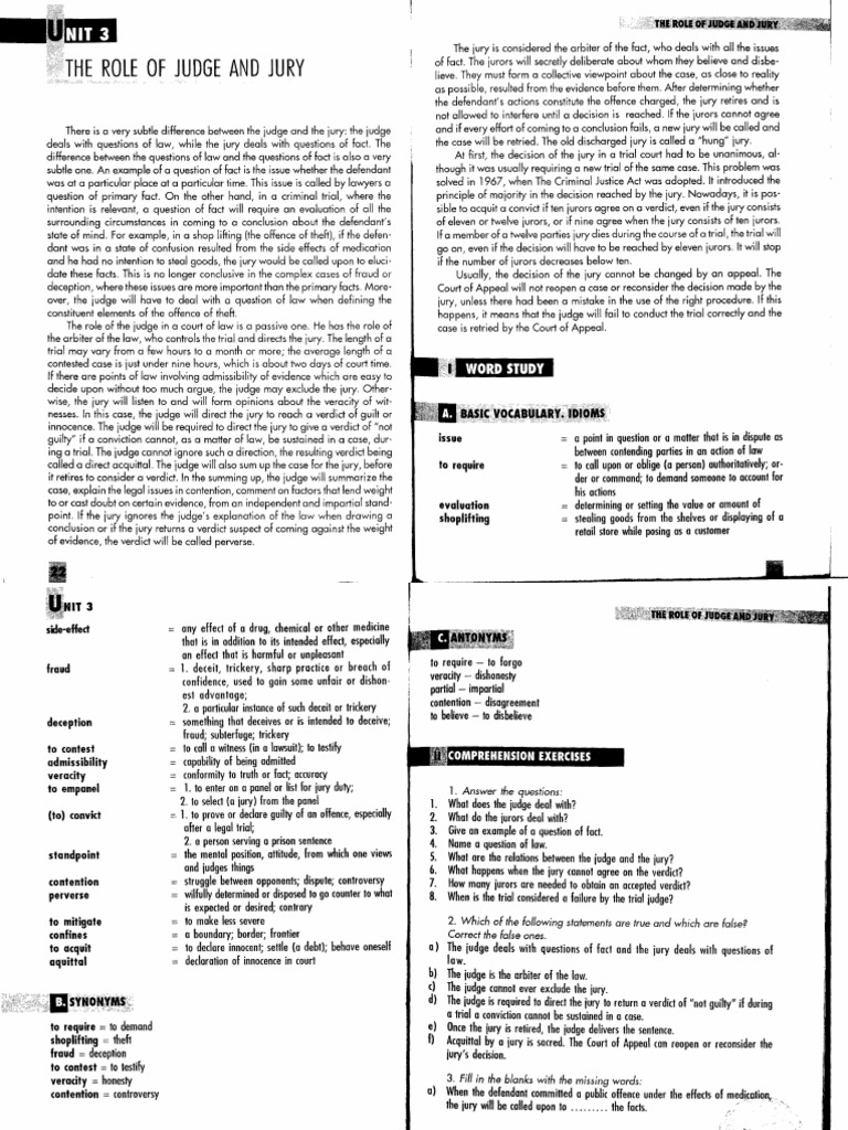 The Jury | PDF | Trials | Government