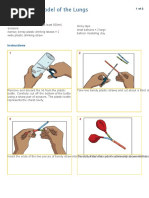 Lung Model With Two Lungs and Diaphragm Lab | PDF