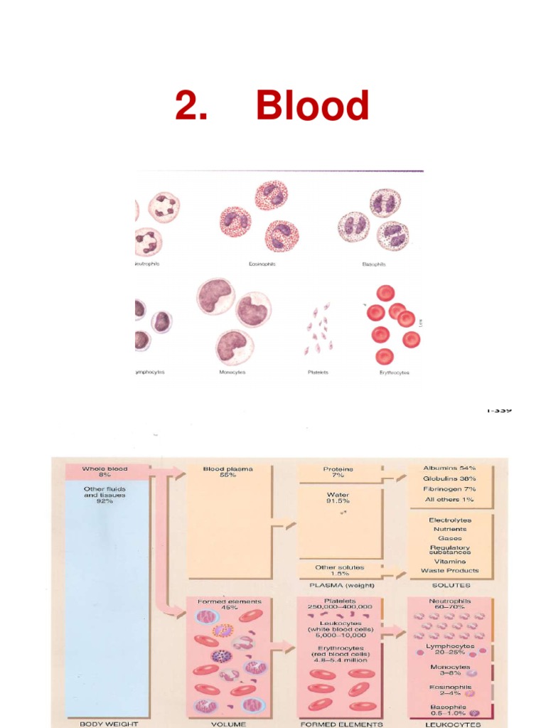 The Comprehensive Guide to Blood: Physical Properties, Components ...
