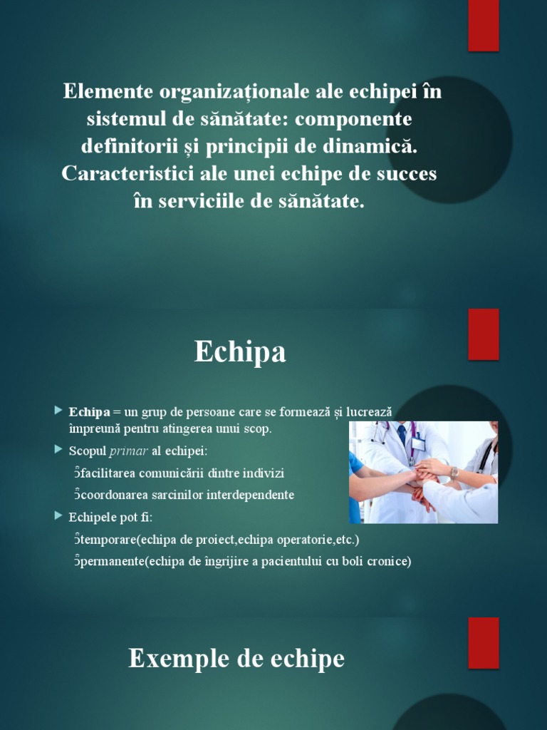 Conceptul de Grup - Munca În Echipa | PDF