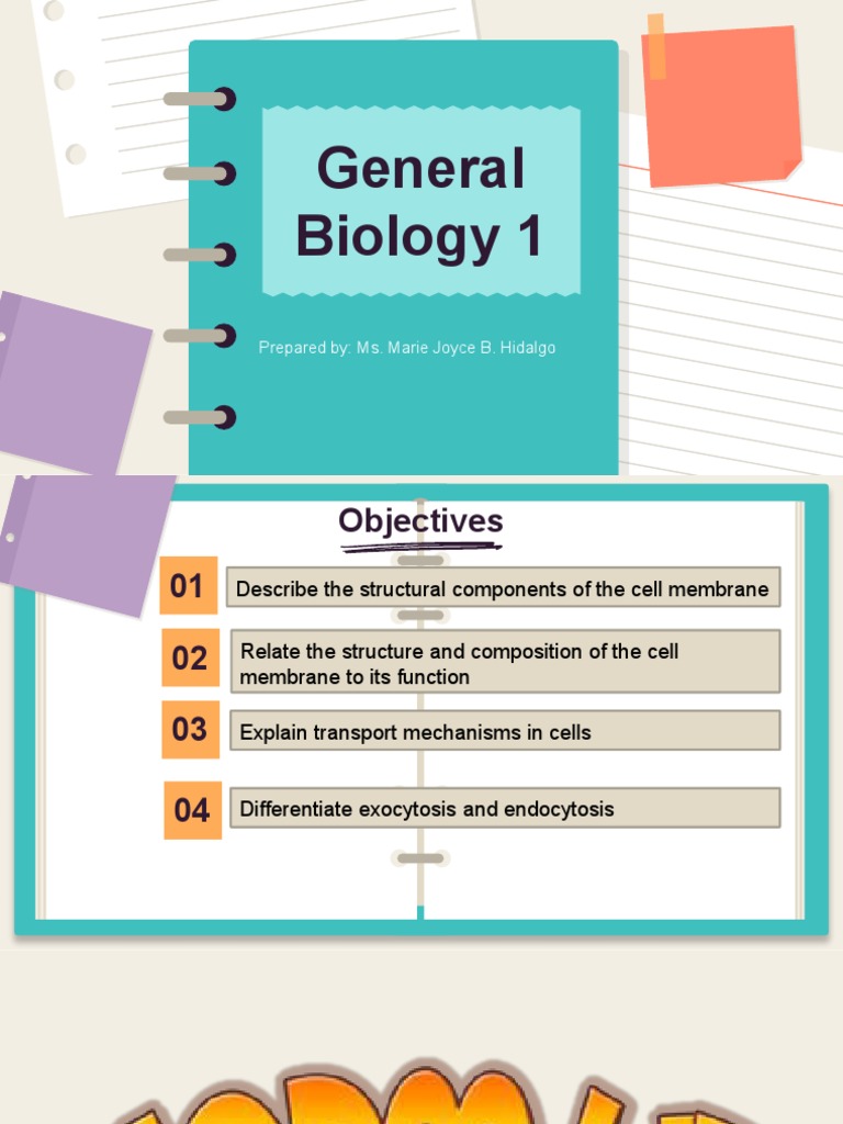 Lesson 2 Cell Transport | PDF | Osmosis | Cell Membrane