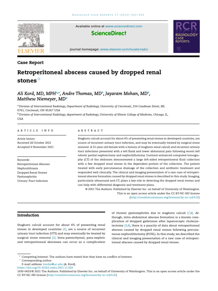Retroperitoneal Abscess Caused by Dropped Renal | PDF | Kidney ...