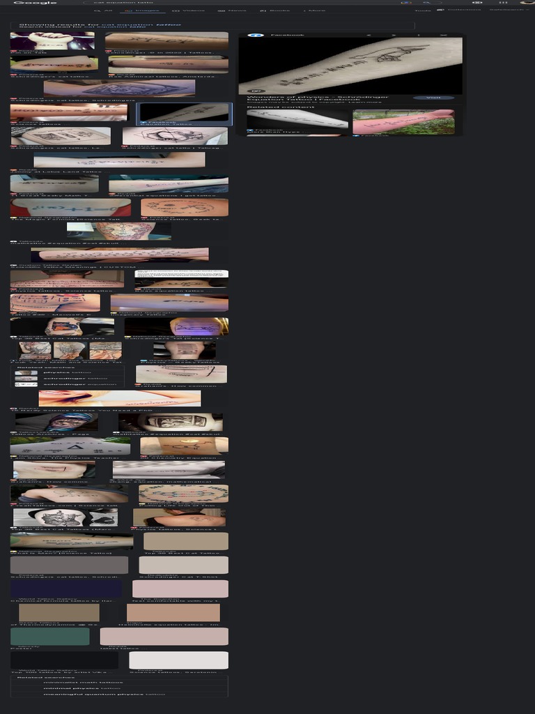 Cat Equation Tatto - Google Search | PDF | Schrödinger Equation | Physics