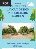 Method of Layout Orchard | PDF | Plants | Trees