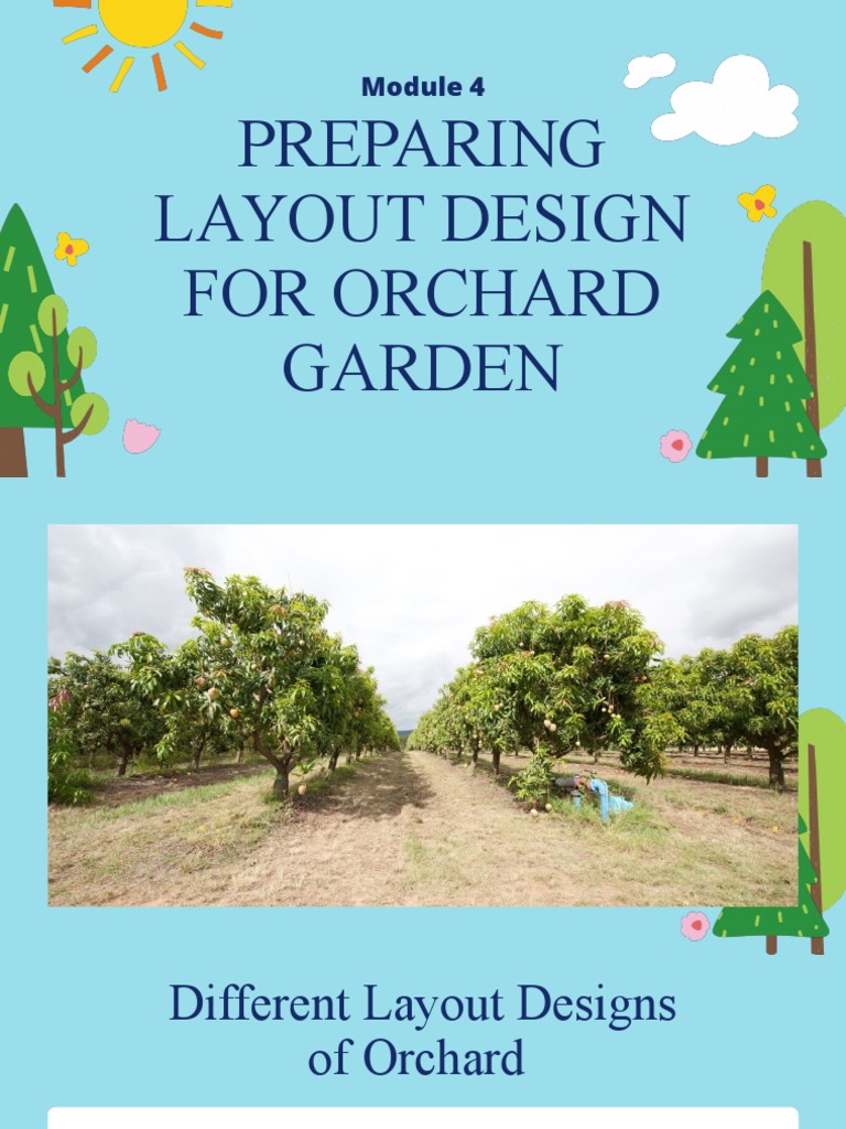 Orchard Garden Layout Design Guide | PDF | Rectangle | Orchard