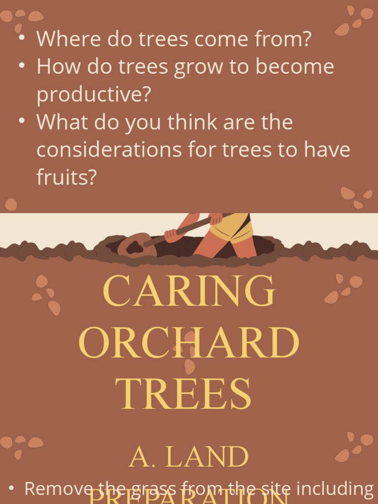 Cultivating Orchard Trees: A Guide to Land Preparation, Planting, Staking, Watering, and ...