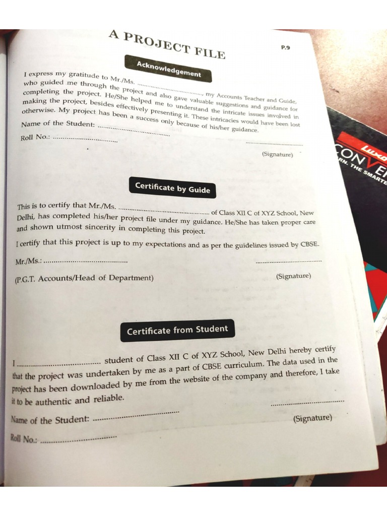 Project - Accounts (Accounting Ratios and Balance Sheet) | PDF