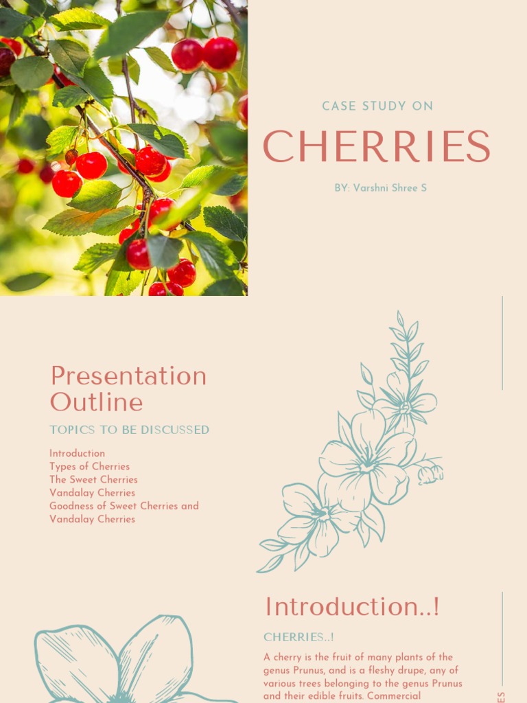 Case Study On Cherries | PDF | Cherry | Gout