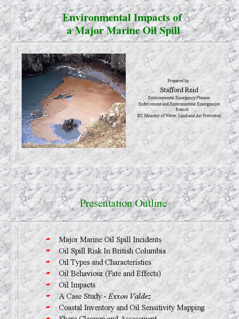 Major Marine Oil Spill Impacts | Download Free PDF | Oil Spill | Petroleum