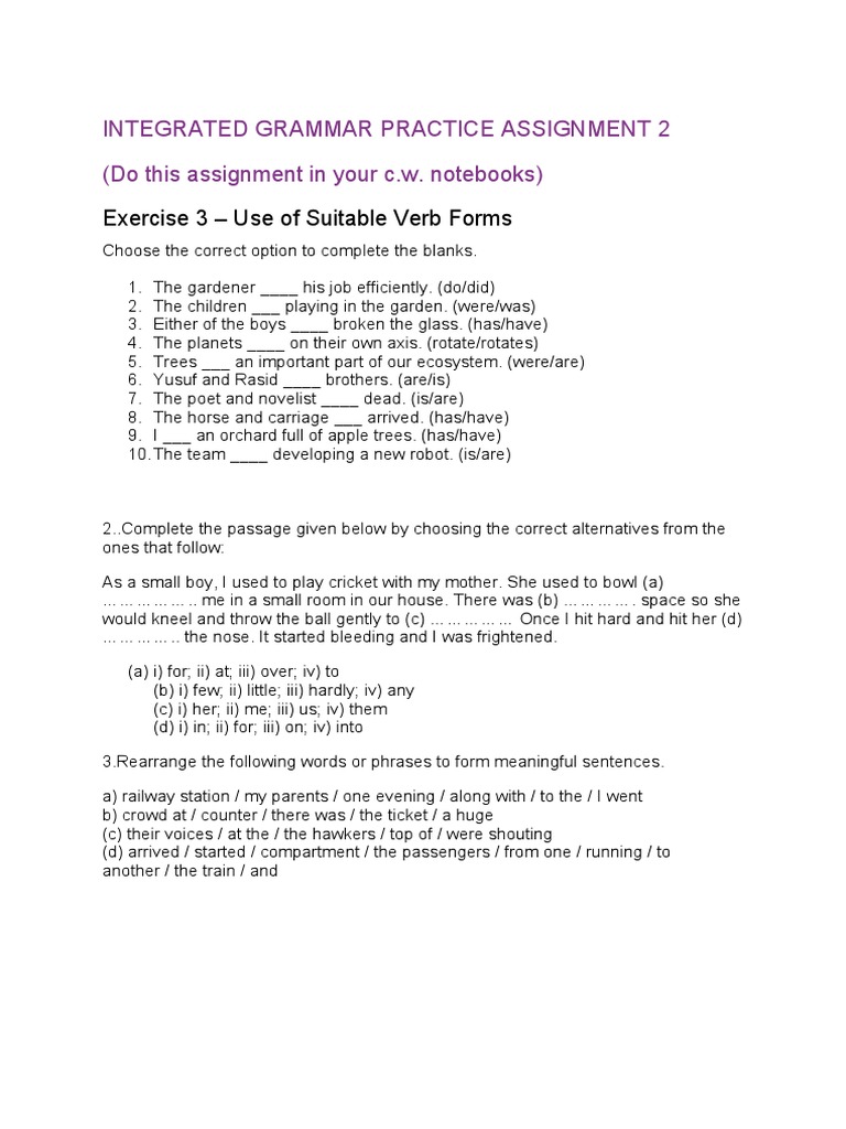 Integrated Grammar Practice Assignment 2 | PDF | Language Arts & Discipline