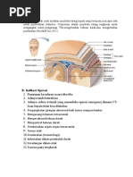 LP Post Craniotomy | PDF