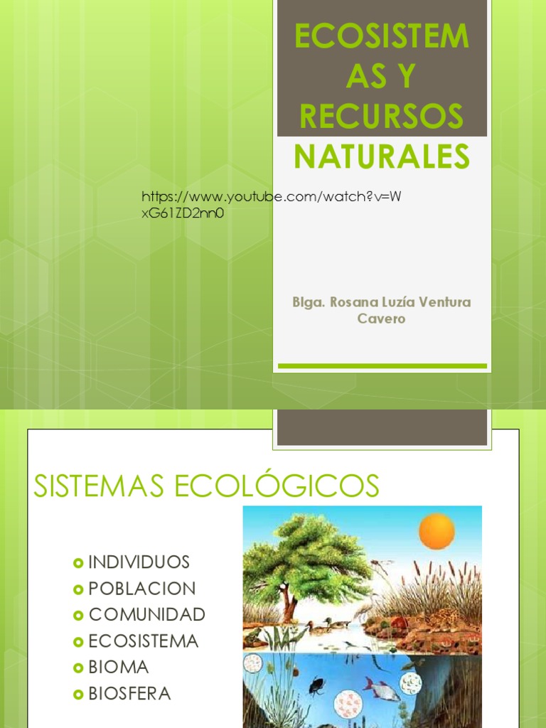Ecosistemas y Recursos Naturales | PDF | Evaluación de impacto ambiental | Entorno natural