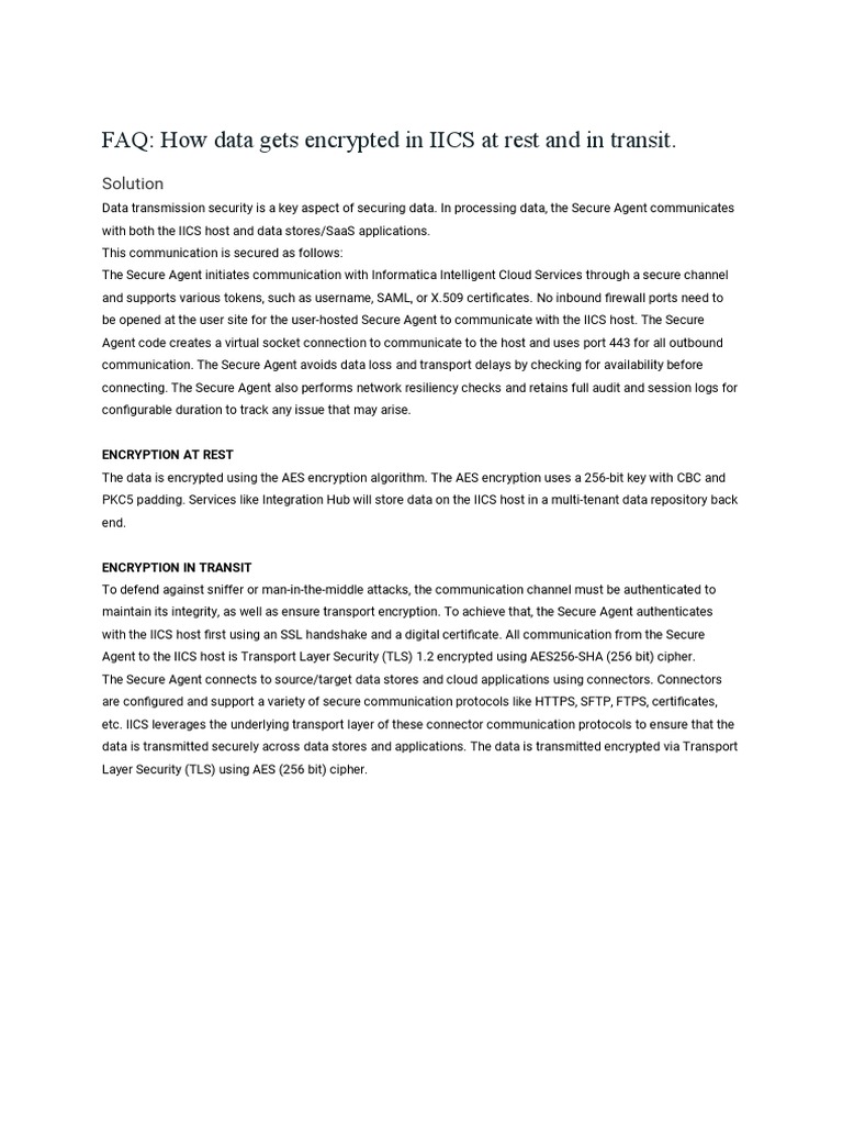 IICS Data Security | PDF