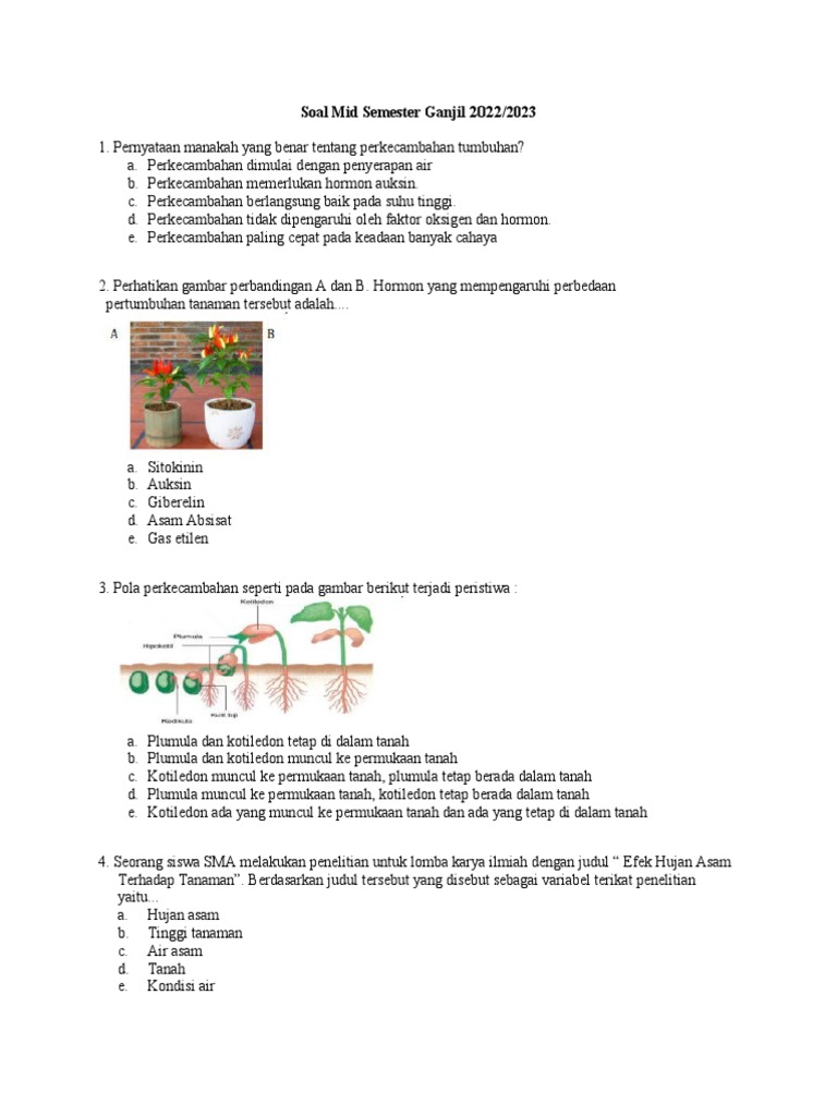 Soal Mid Semester Ganjil 2022 | PDF