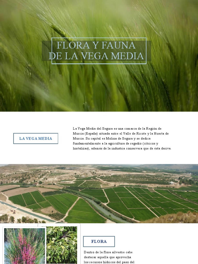 Flora y Fauna de la Vega Media | PDF