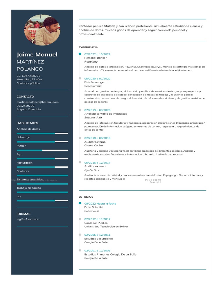 CV JMP | PDF | Contador | Auditoría