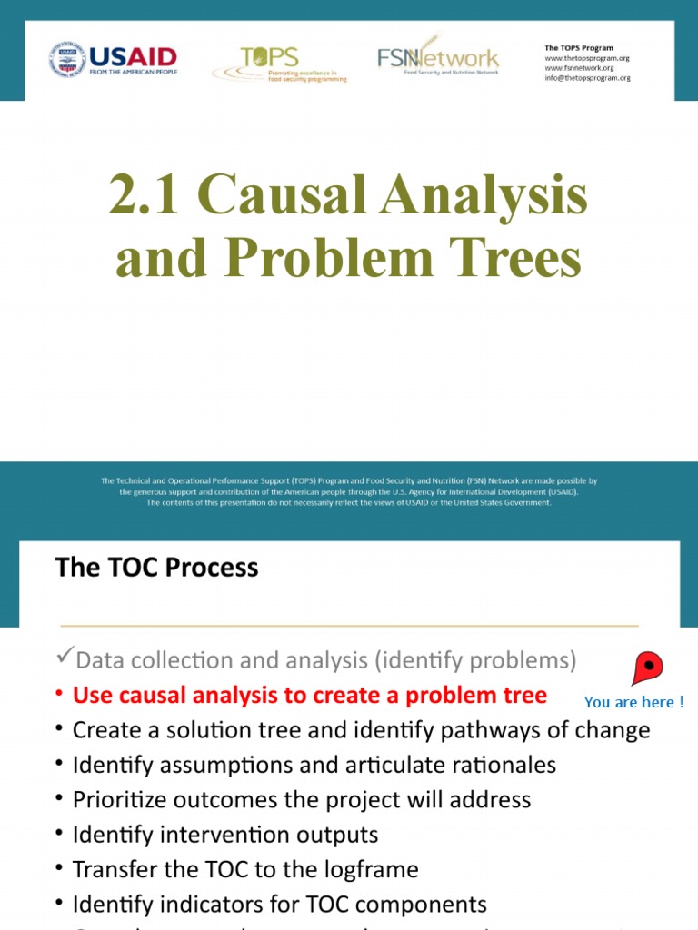 Causal Analysis & Problem Trees Guide | PDF | Attitude (Psychology ...