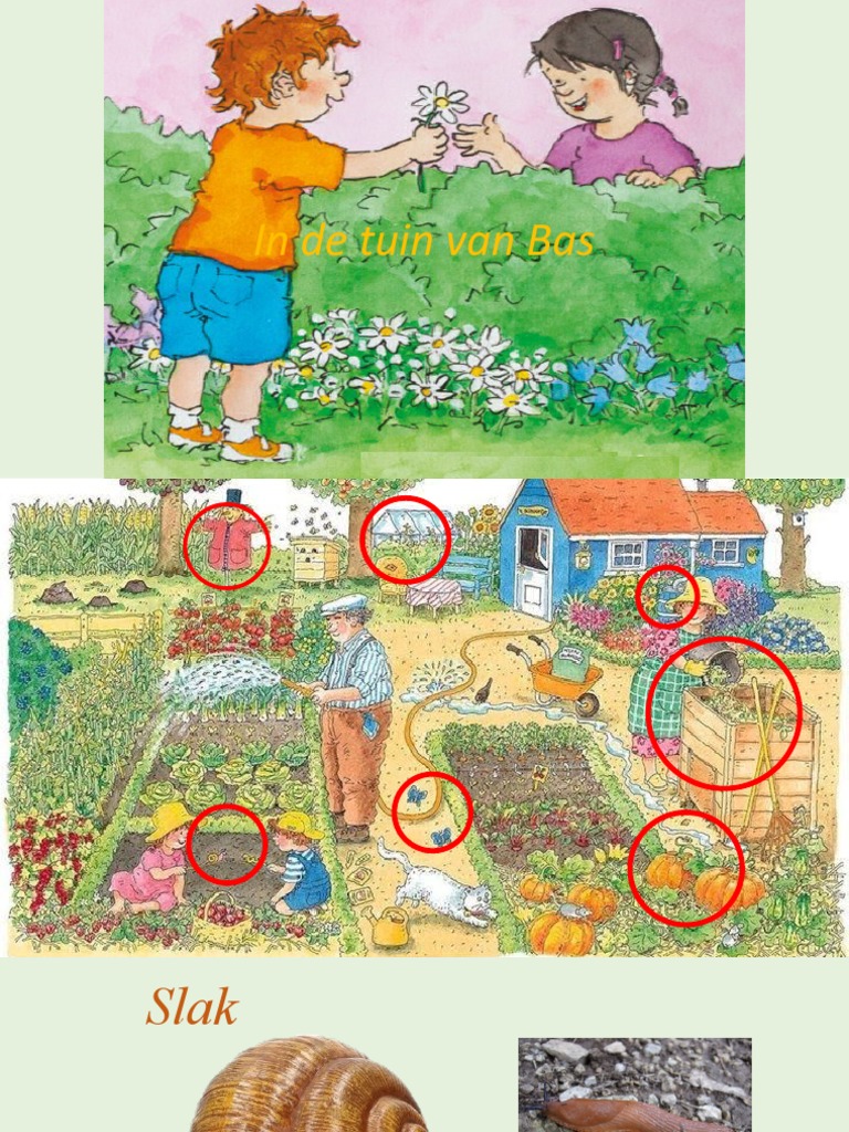 Woordenschat en Zinsbouw in de Tuin Van Bas2 | PDF
